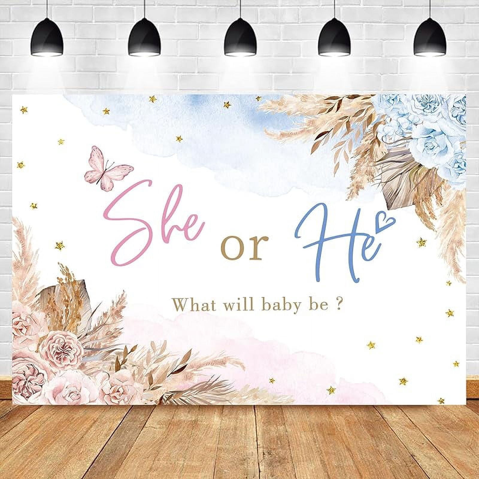 He or She Gender Reveal Backdrop Pink Blue Boy or Girl Baby Shower ...