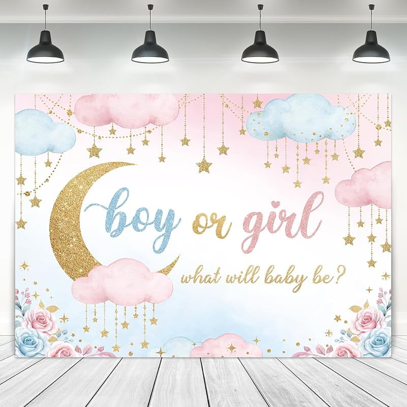 He or She Gender Reveal Backdrop What Will Baby Be Boys or Girls Pink ...
