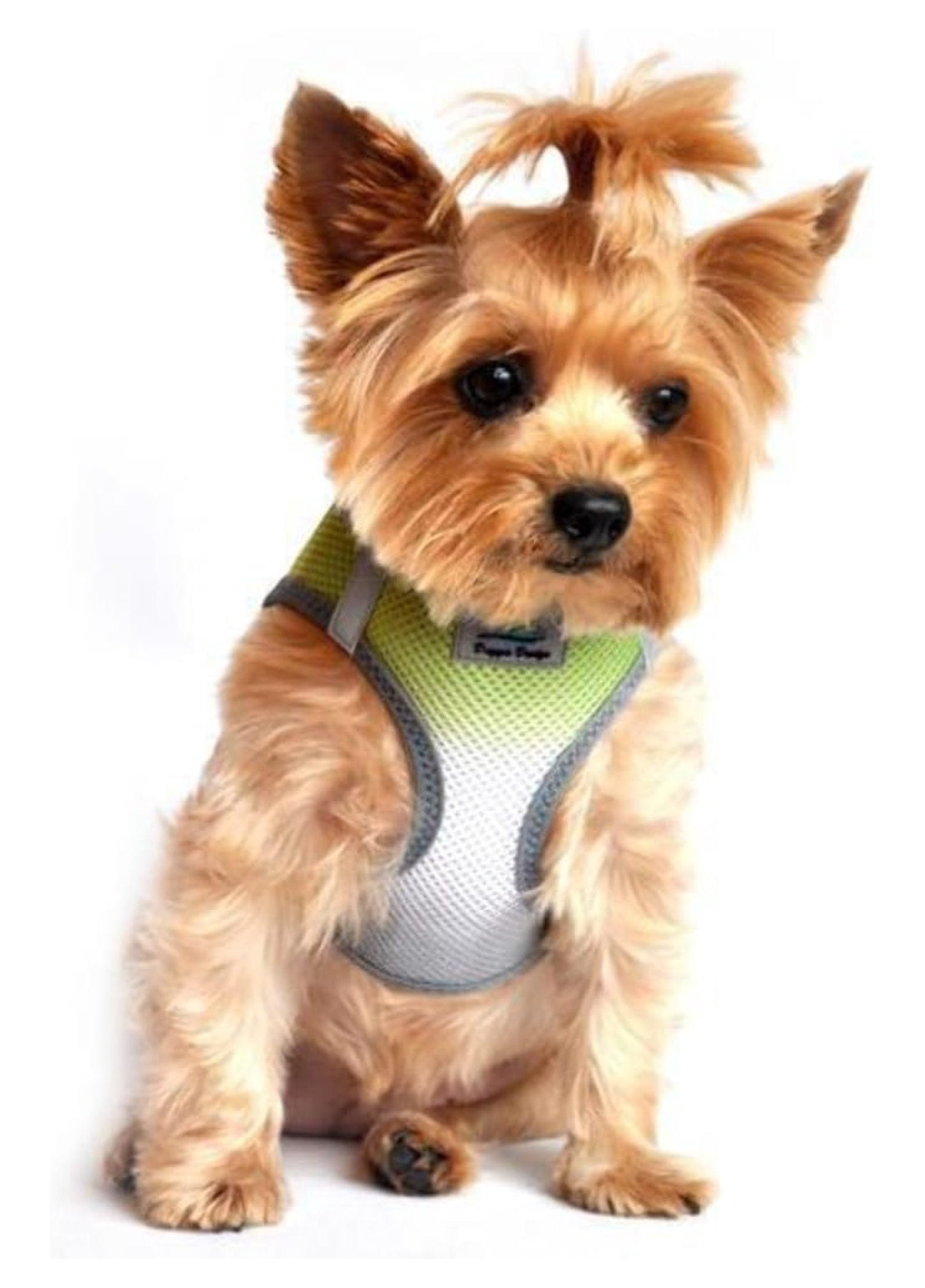 HeSLehs American River Dog Harness Ombre Collection - Limestone Gray ...