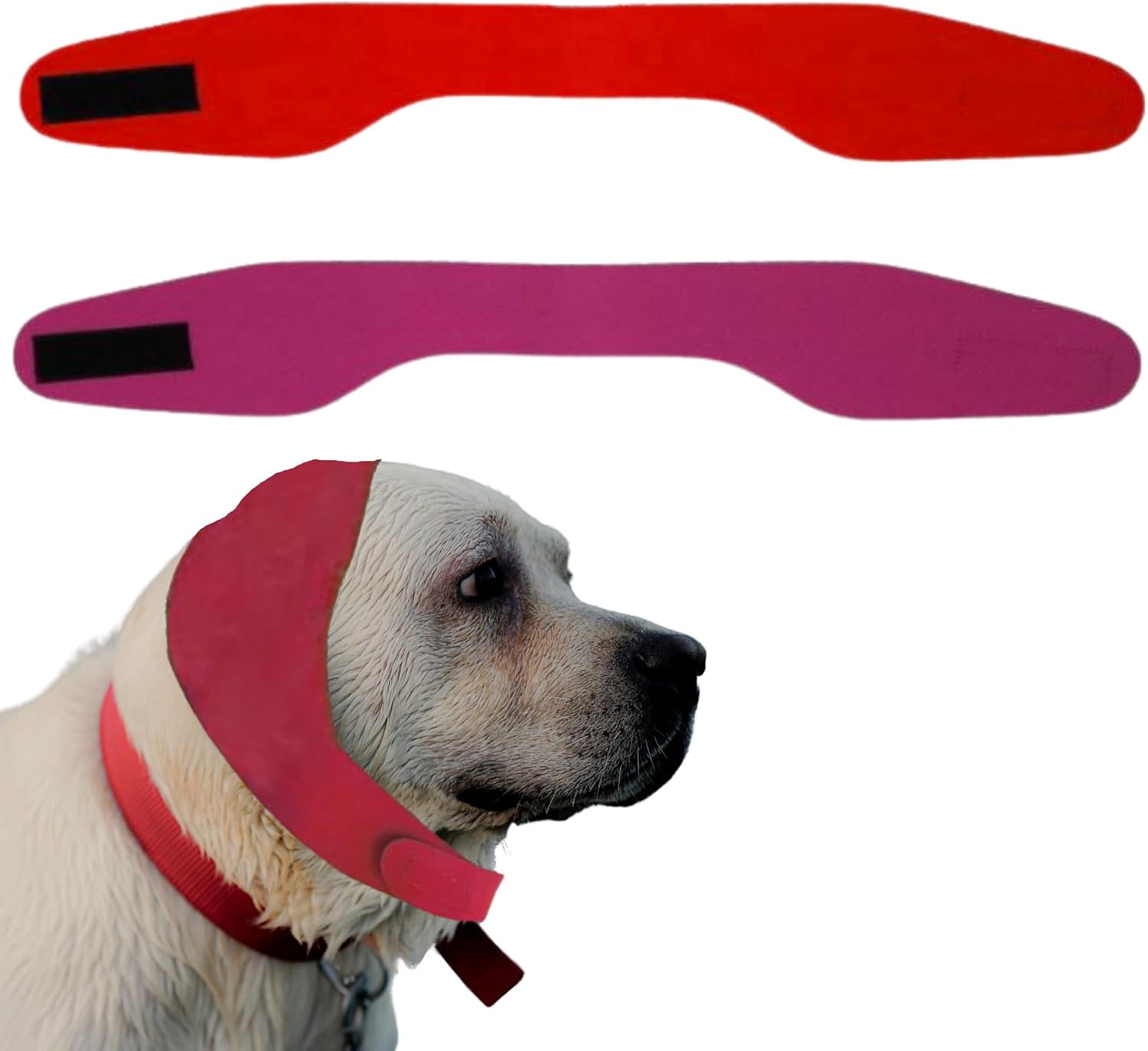 HeaCare 2pcs Dog Ear Covers for Swimming, Ear Protection for Dogs ...