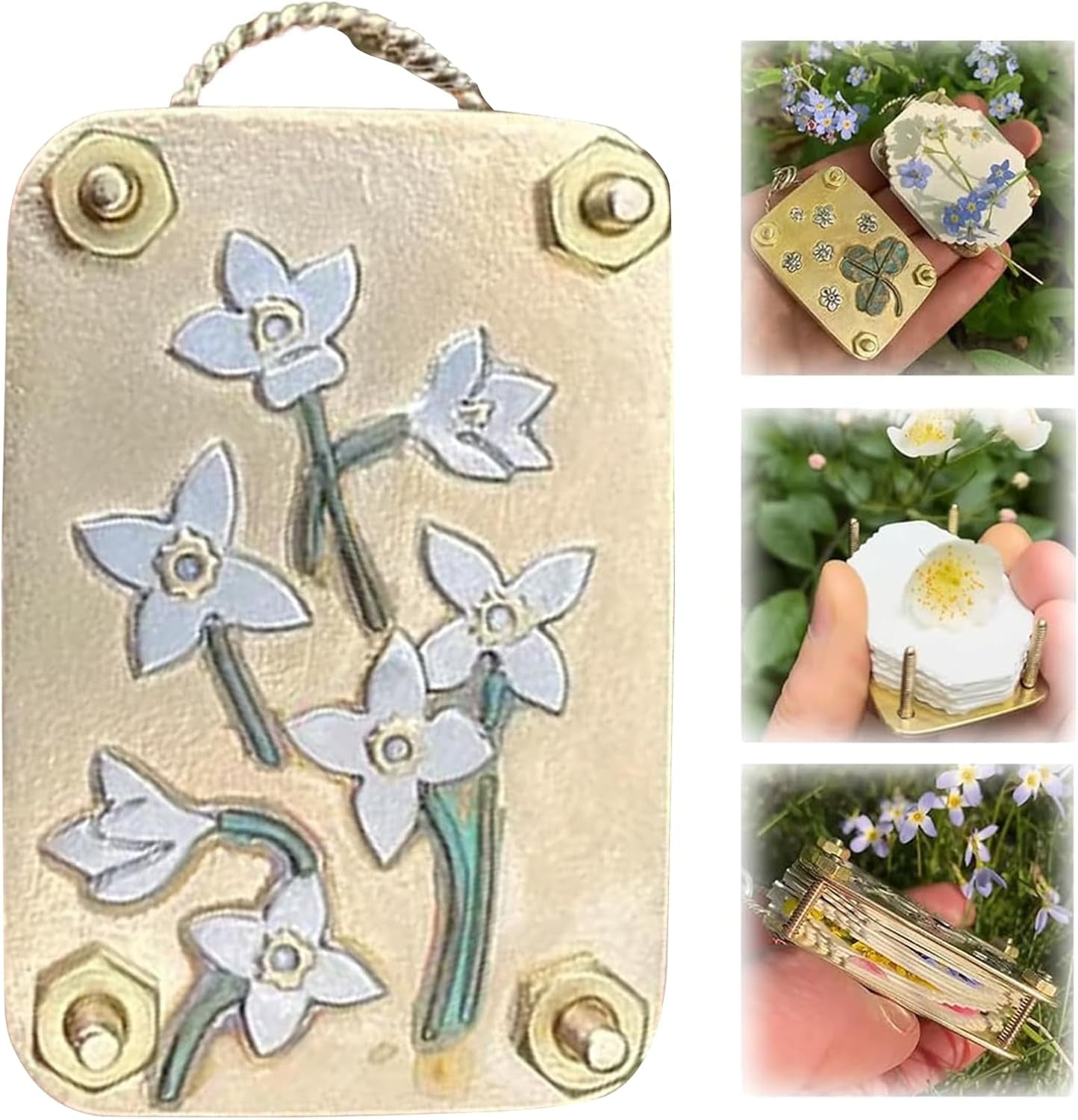 HeaDream Micro Flower Press – Miniature Plant Preservation & Pressing ...