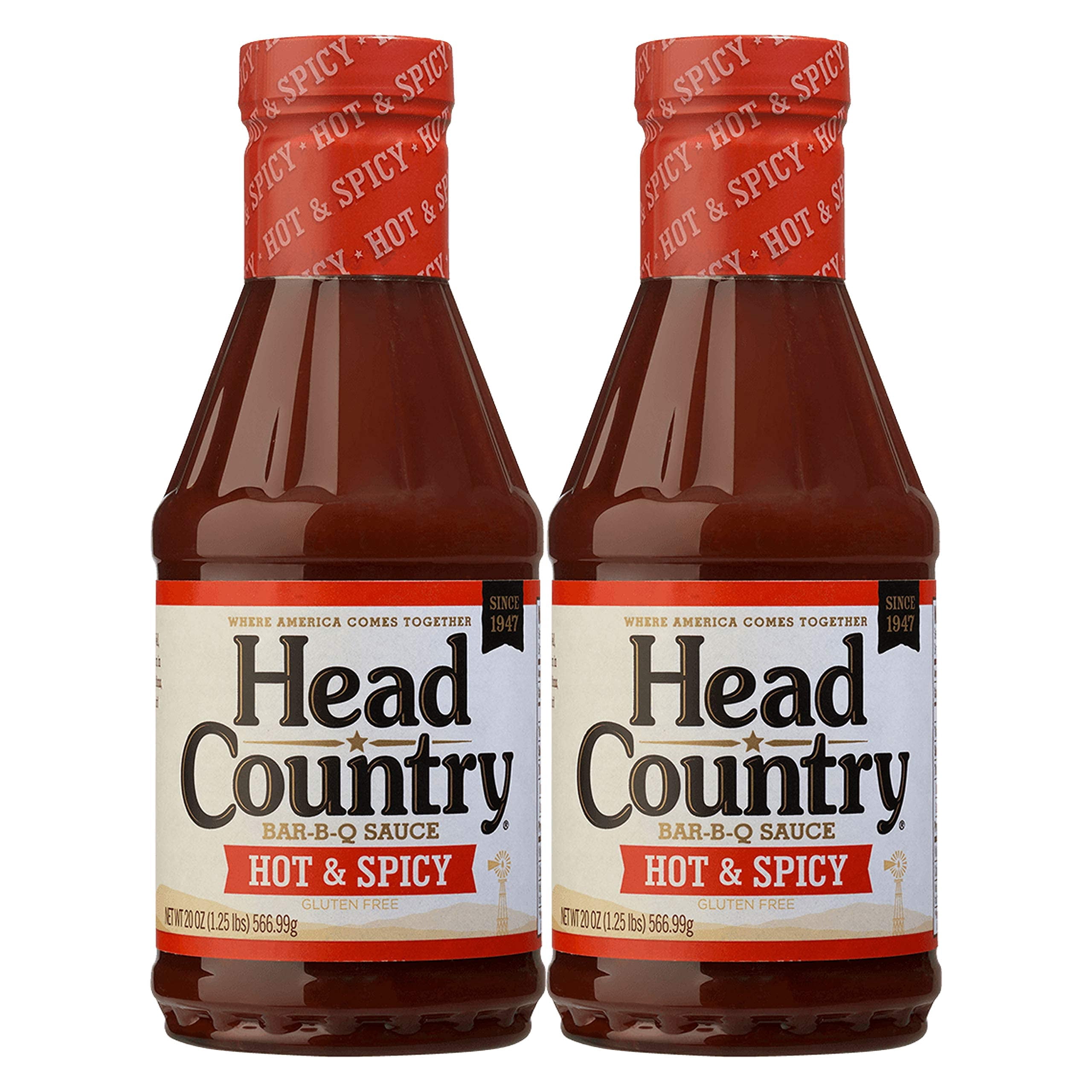 Head Country Bar-B-Q Sauce, CM31 Hot & Spicy Flavor, 20oz (pack of 2 ...
