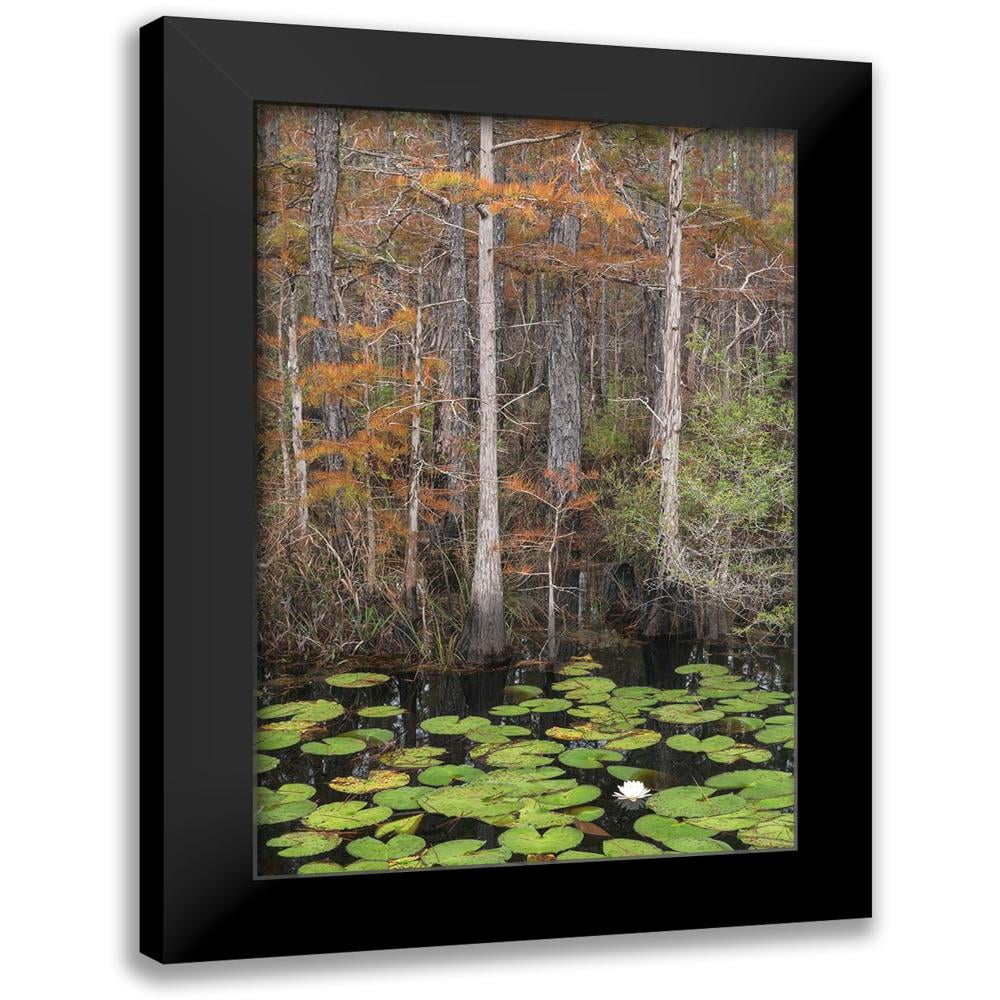 Head, Danny 11x14 Black Modern Framed Museum Art Print Titled - Black ...