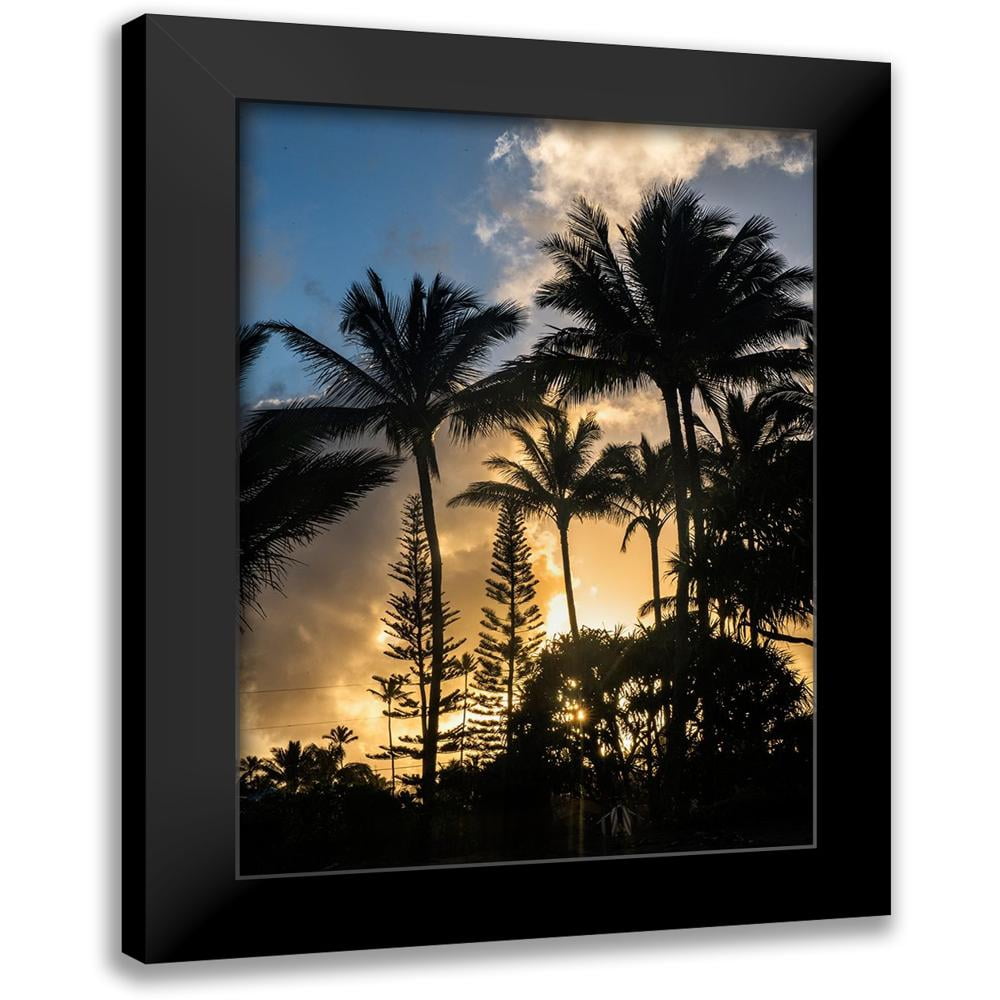 Head, Danny 11x14 Black Modern Framed Museum Art Print Titled - Palm ...