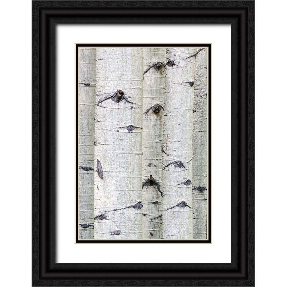 Head, Danny 11x14 Black Ornate Wood Framed with Double Matting Museum ...