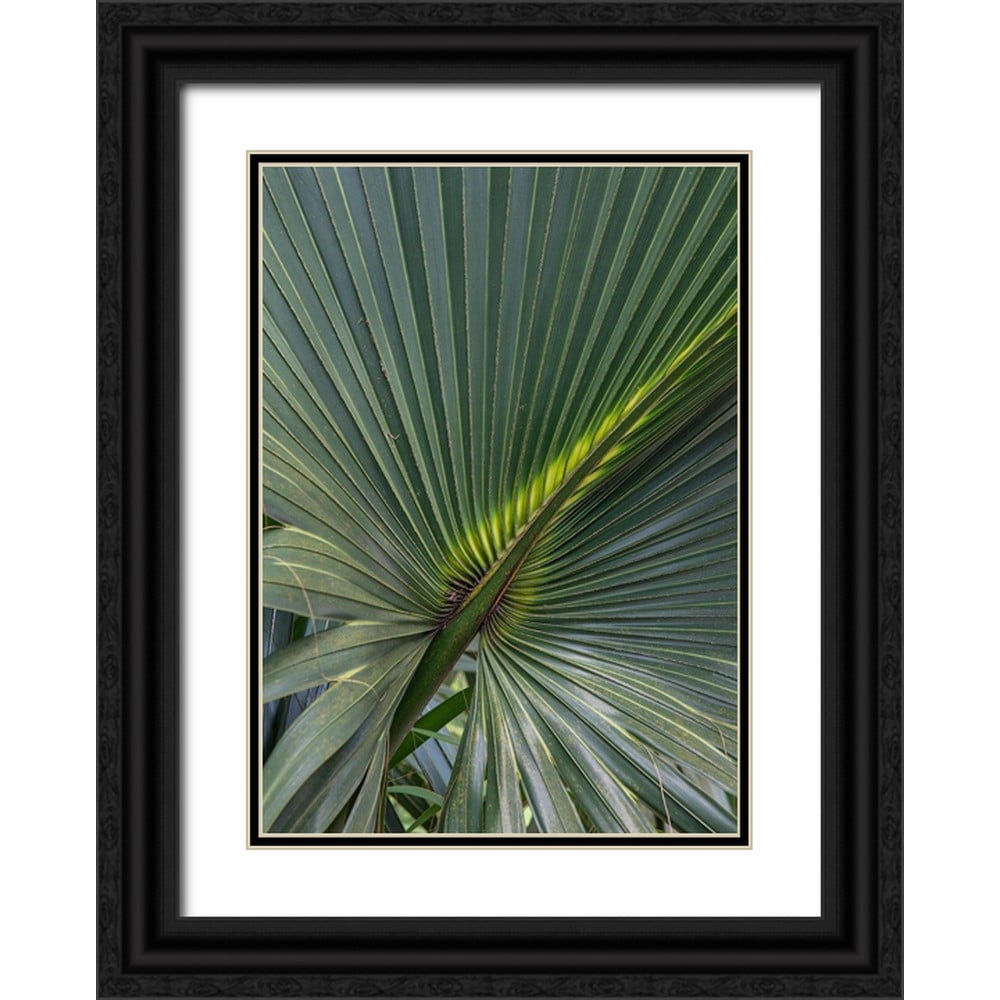 Head, Danny 11x14 Black Ornate Wood Framed with Double Matting Museum ...