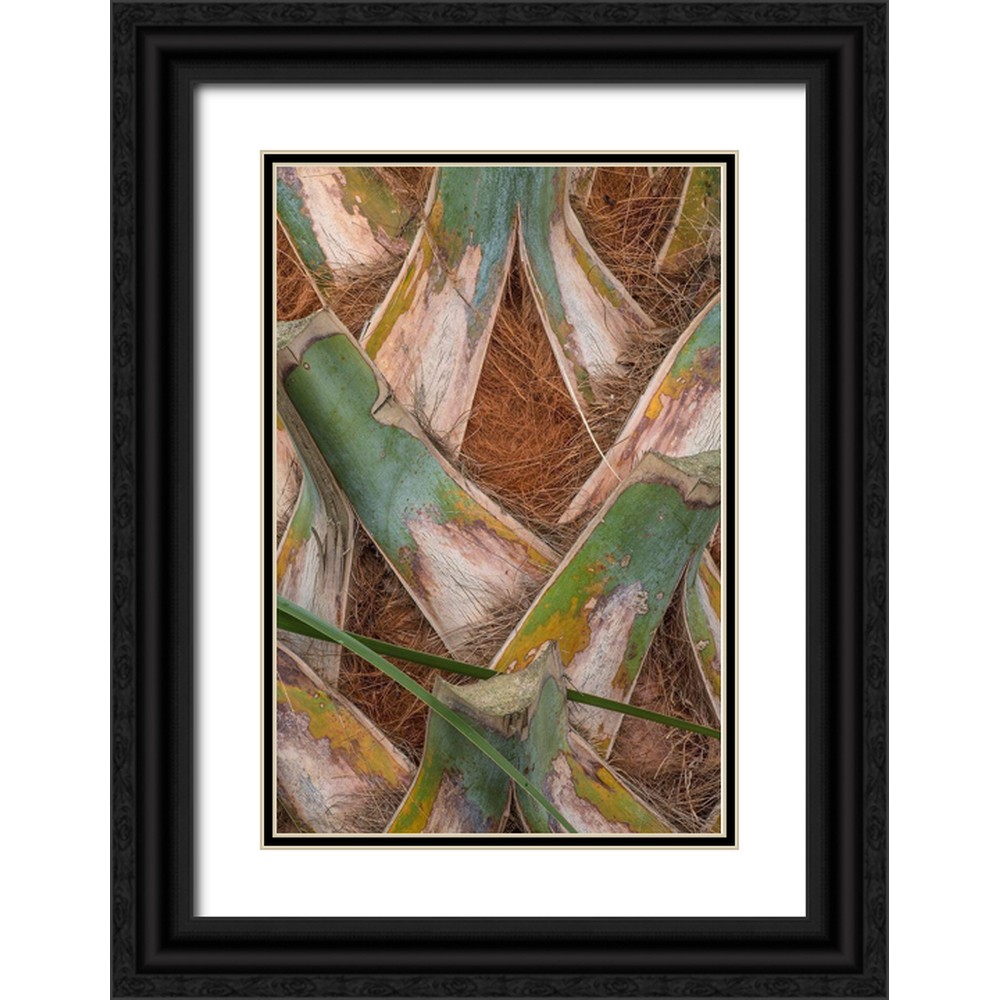 Head, Danny 11x14 Black Ornate Wood Framed with Double Matting Museum ...