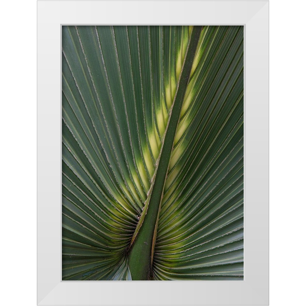 Head, Danny 11x14 White Modern Wood Framed Museum Art Print Titled ...