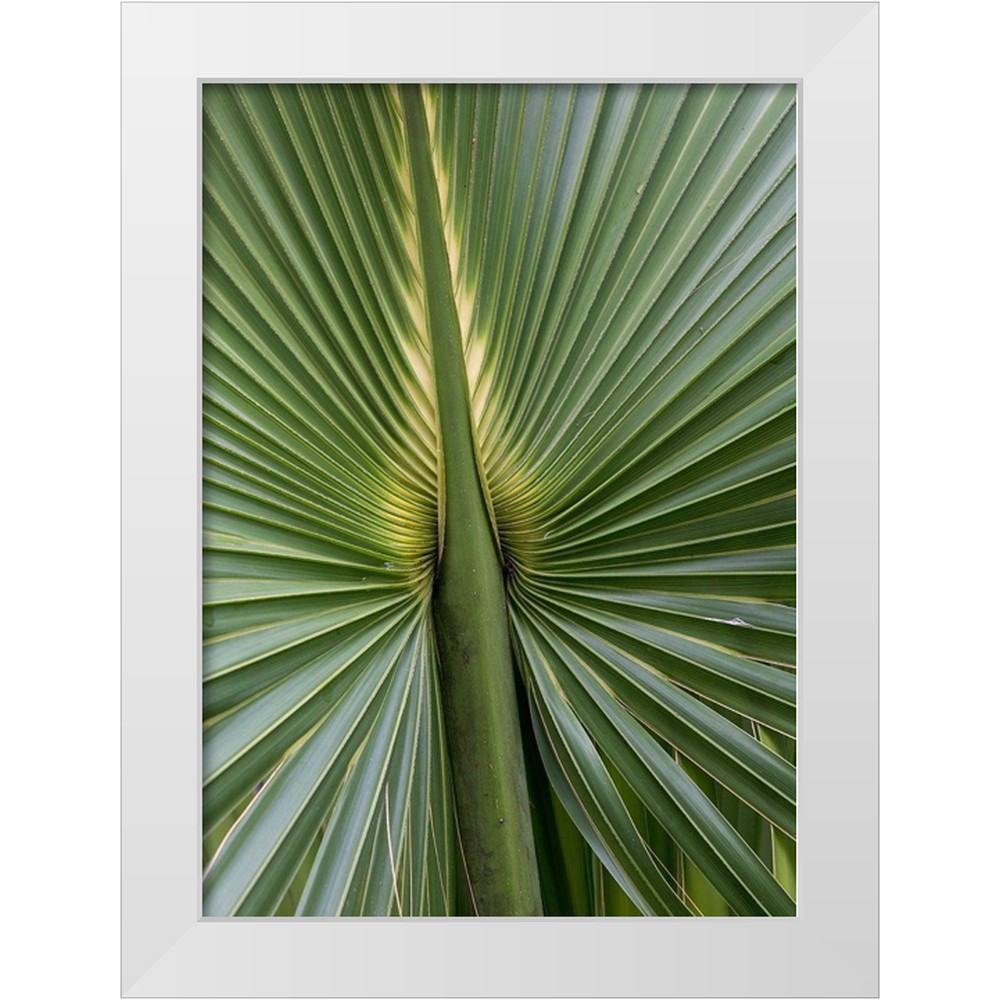 Head, Danny 11x14 White Modern Wood Framed Museum Art Print Titled ...