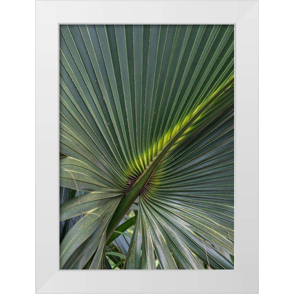 Head, Danny 11x14 White Modern Wood Framed Museum Art Print Titled ...