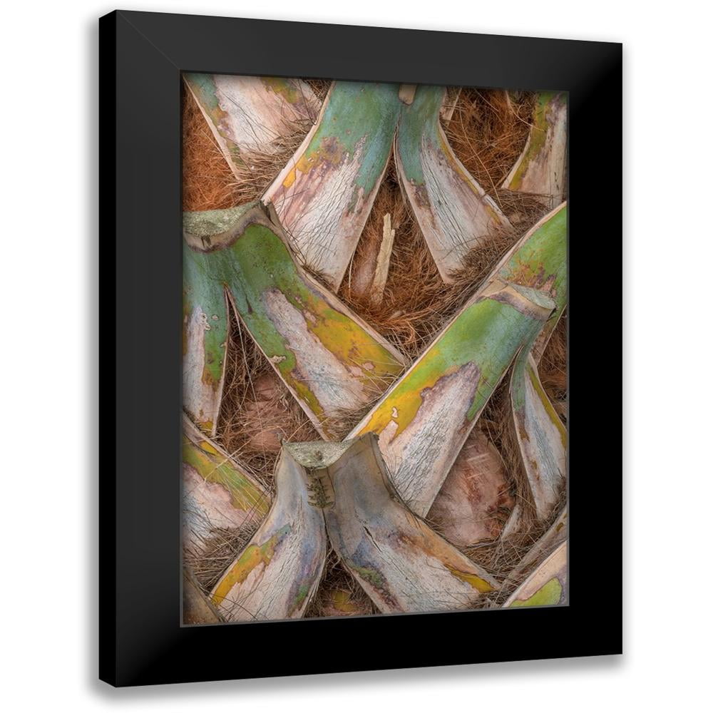 Head, Danny 17x24 Black Modern Framed Museum Art Print Titled - Palm ...