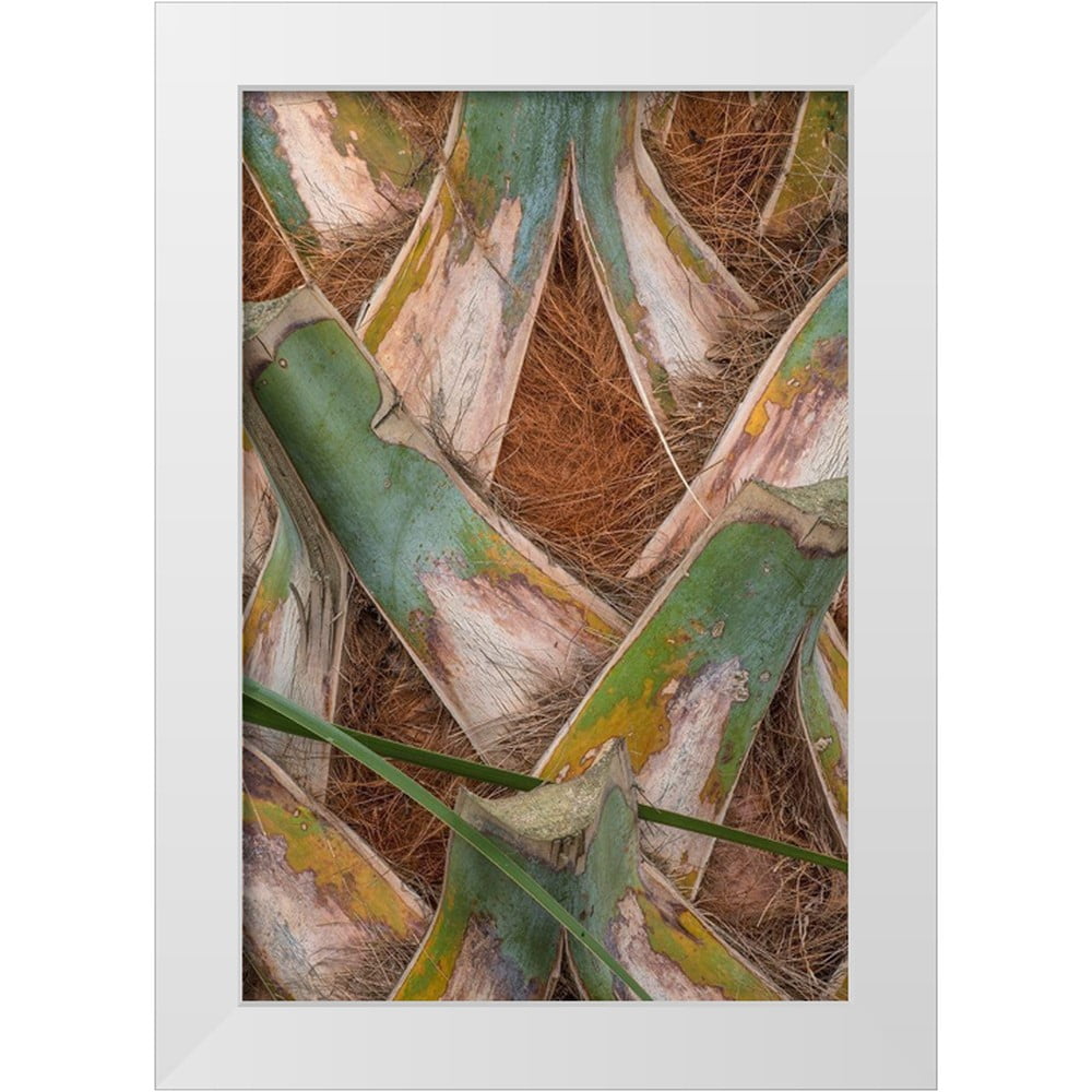 Head, Danny 17x24 White Modern Wood Framed Museum Art Print Titled ...