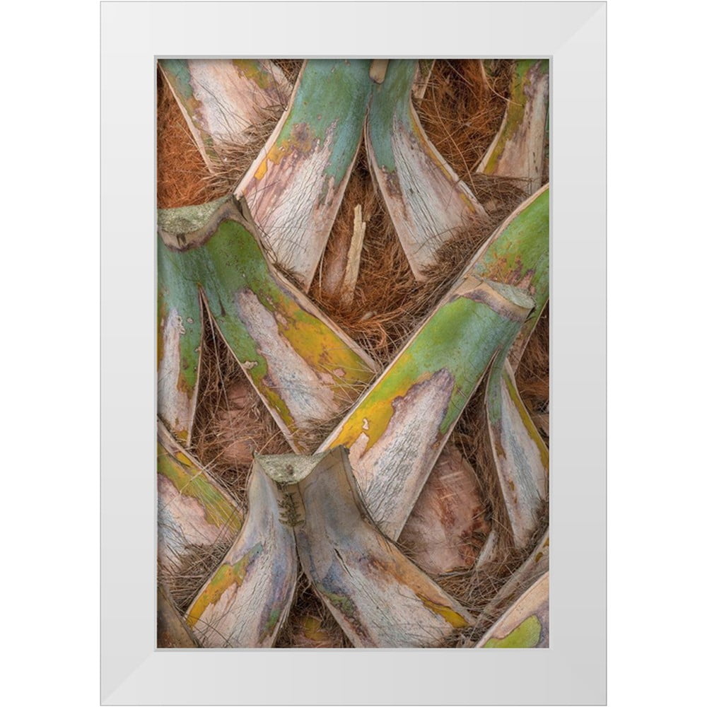 Head, Danny 17x24 White Modern Wood Framed Museum Art Print Titled ...