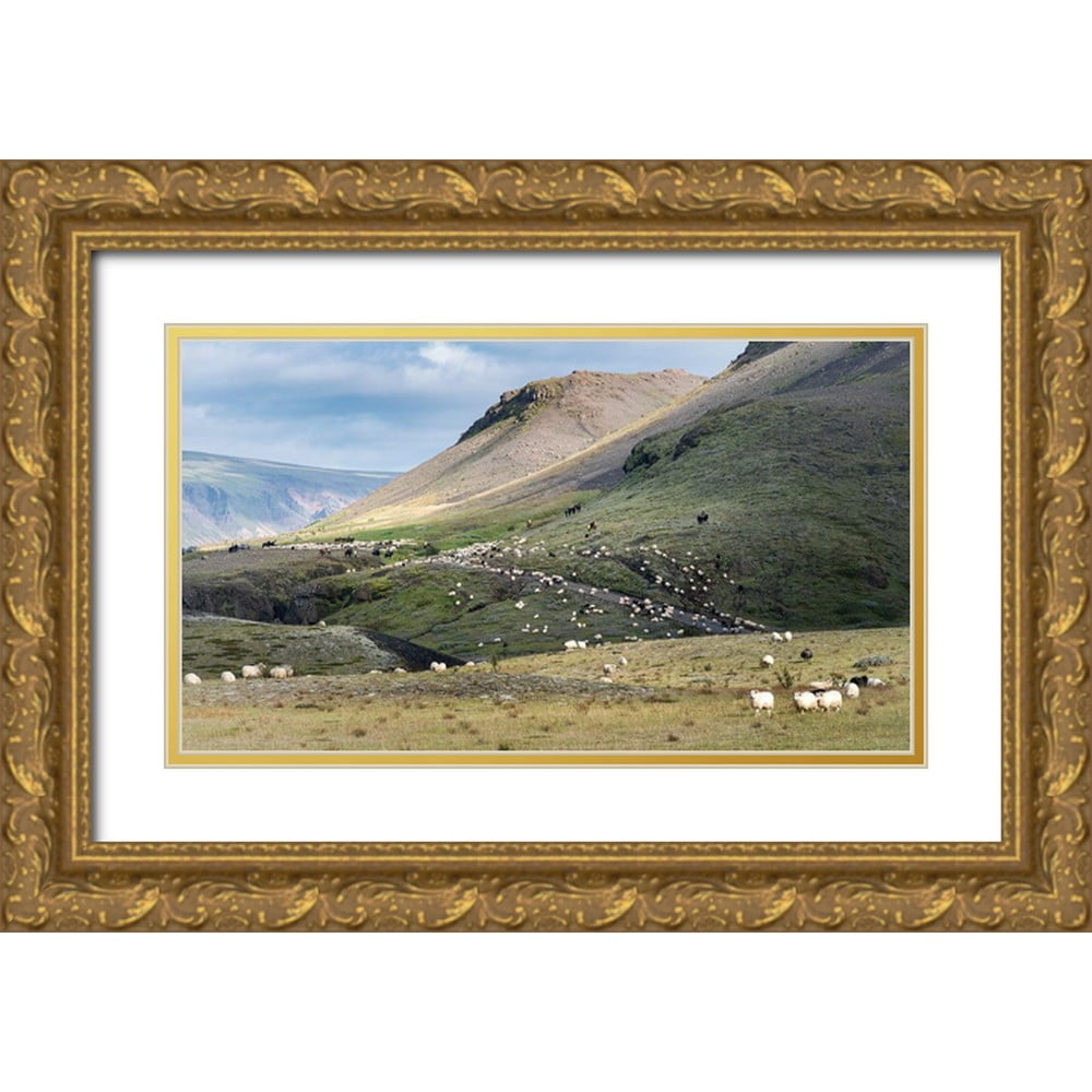 Head, Danny 24x15 Gold Ornate Wood Framed with Double Matting Museum ...