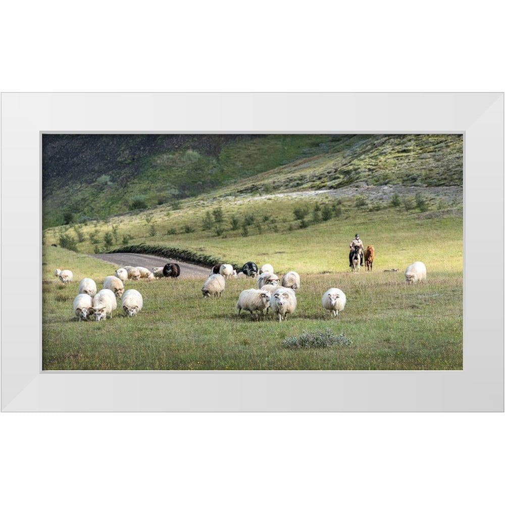 Head, Danny 24x15 White Modern Wood Framed Museum Art Print Titled ...