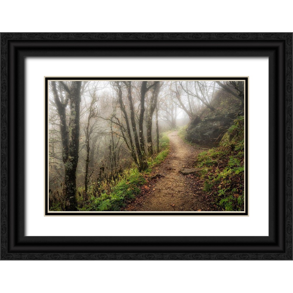 Head, Danny 24x17 Black Ornate Wood Framed with Double Matting Museum ...