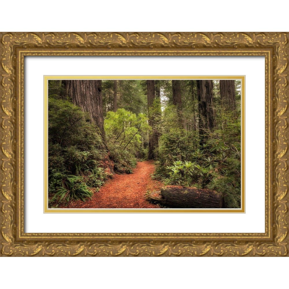 Head, Danny 24x17 Gold Ornate Wood Framed with Double Matting Museum ...