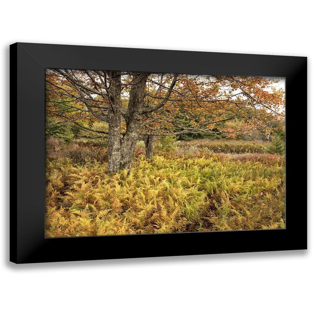 Head, Danny 24x18 Black Modern Framed Museum Art Print Titled - Maples ...