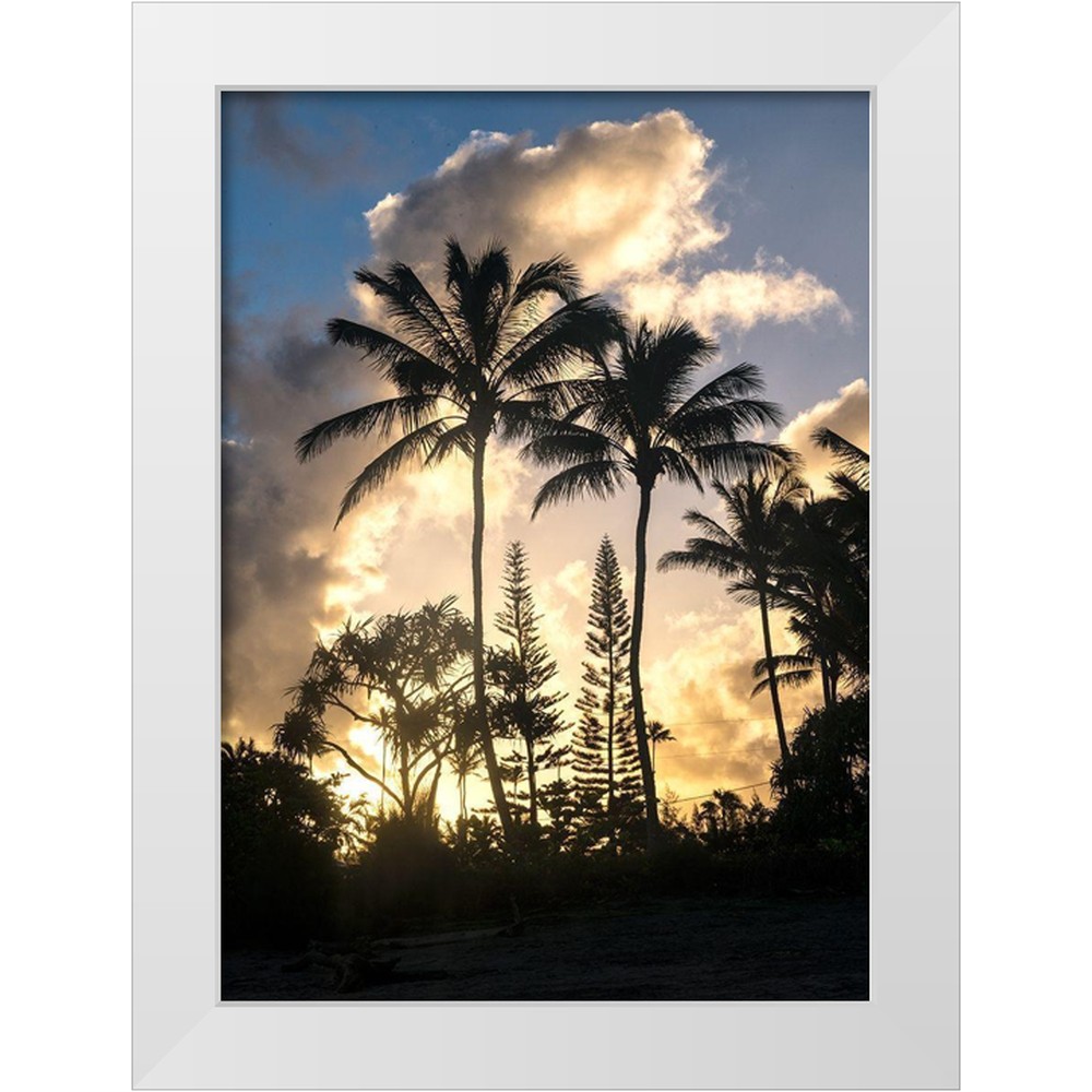 Head, Danny 24x32 White Modern Wood Framed Museum Art Print Titled ...