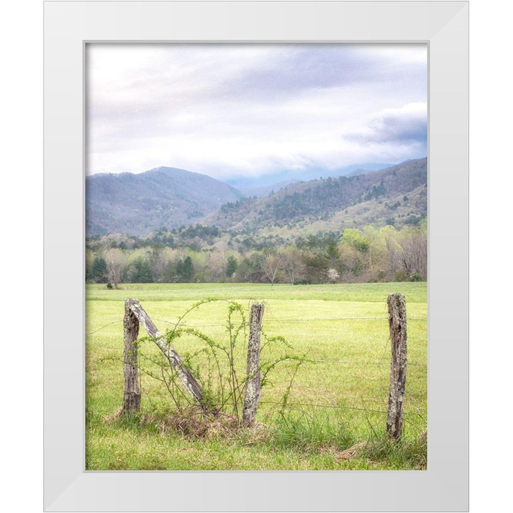 Head, Danny 26x32 White Modern Wood Framed Museum Art Print Titled ...