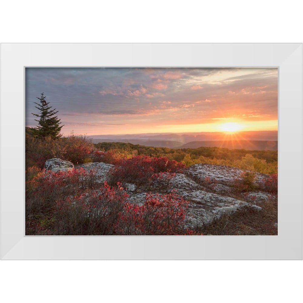 Head, Danny 32x23 White Modern Wood Framed Museum Art Print Titled ...