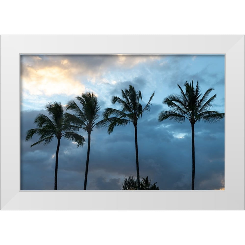 Head, Danny 32x23 White Modern Wood Framed Museum Art Print Titled ...
