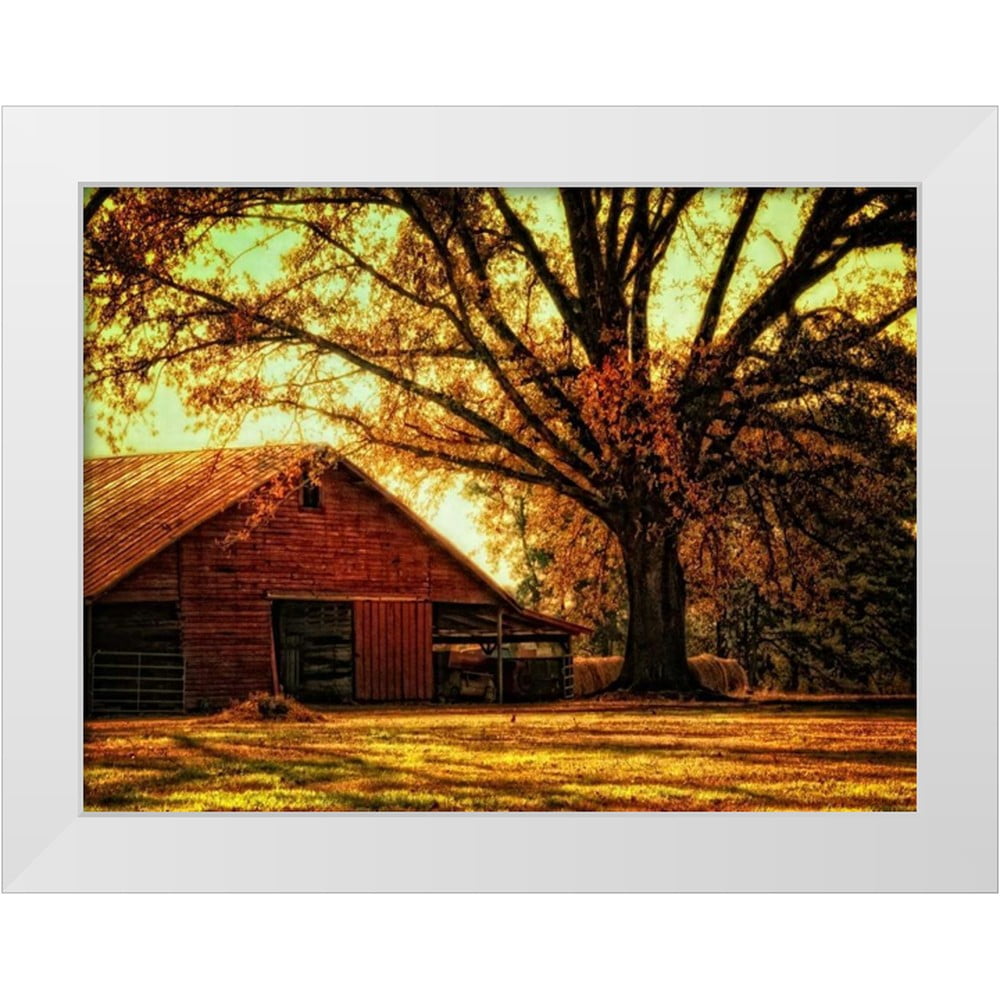 Head, Danny 32x25 White Modern Wood Framed Museum Art Print Titled ...
