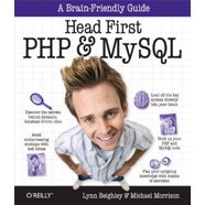 Head First JavaScript Programming: A Brain-Friendly Guide (Paperback) - Walmart.com
