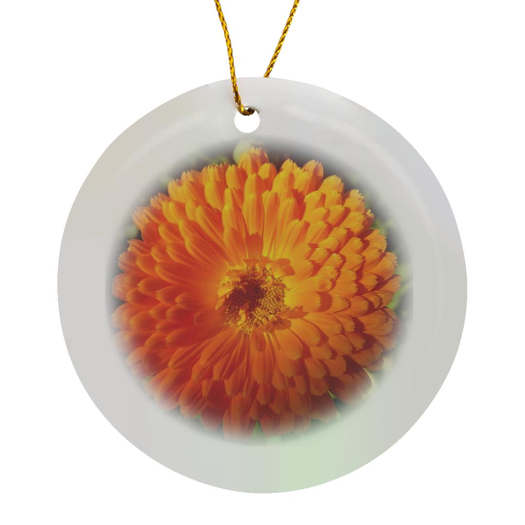 Head On Photograph Of A Stunning Tangerine Orange Marigold Flower ...