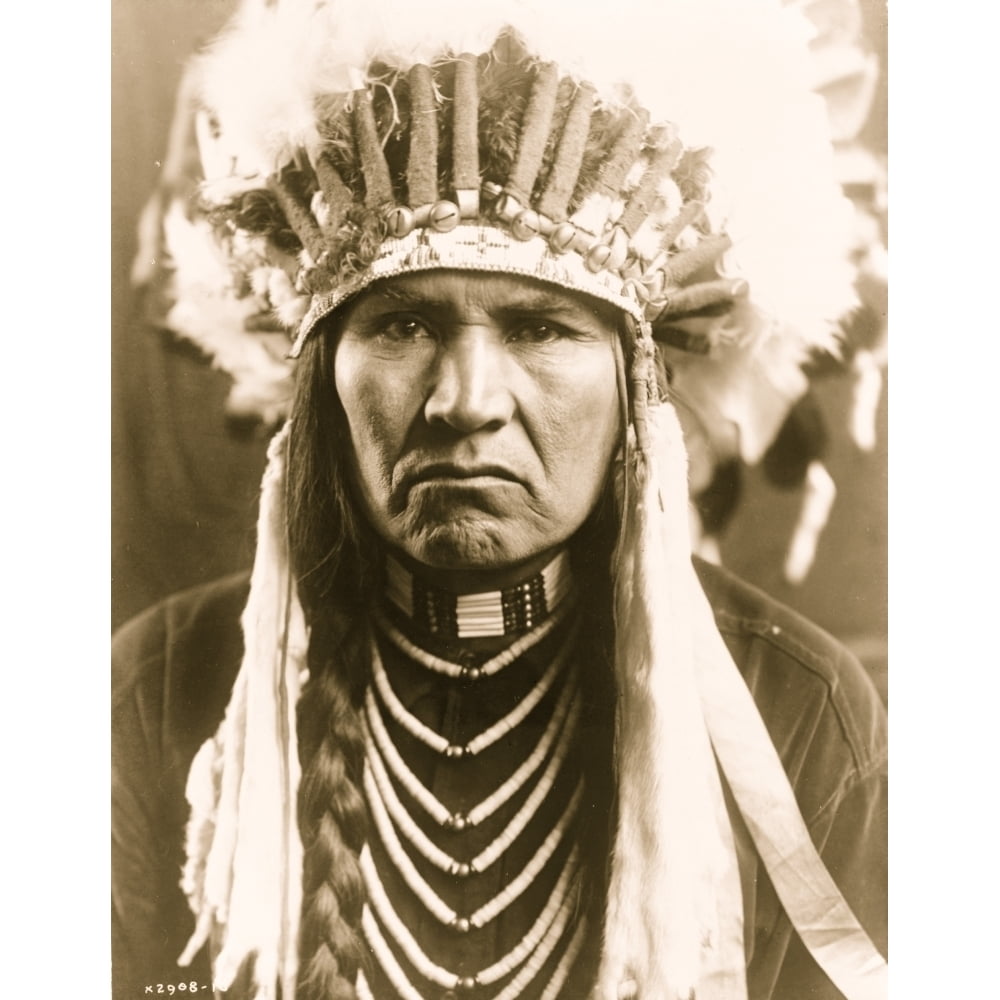 Typical Nez Perc? Poster Print - Walmart.com