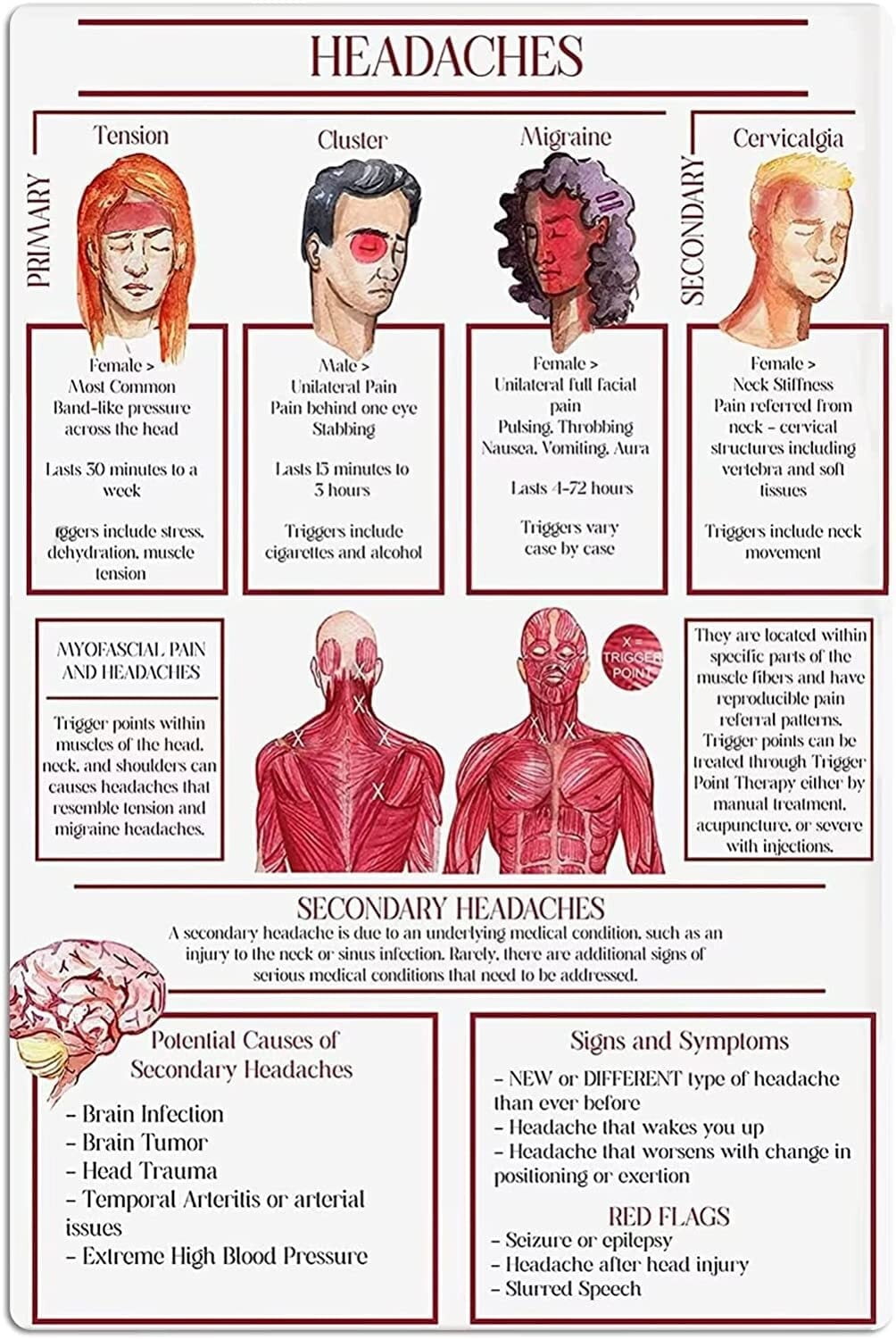 Headaches Infographic Posters Signs Knowledge Posters SignsOffice Guide ...