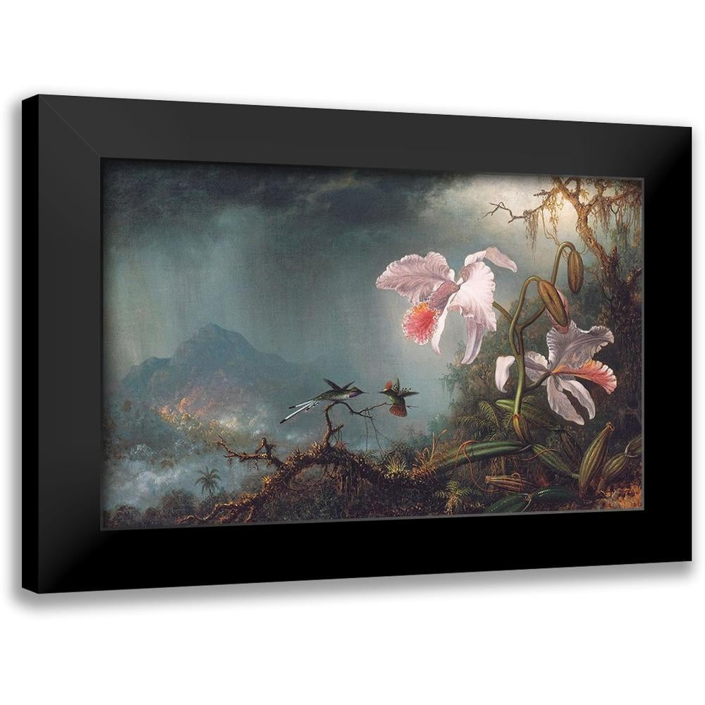 Heade, Martin Johnson 18x13 Black Modern Framed Museum Art Print Titled ...