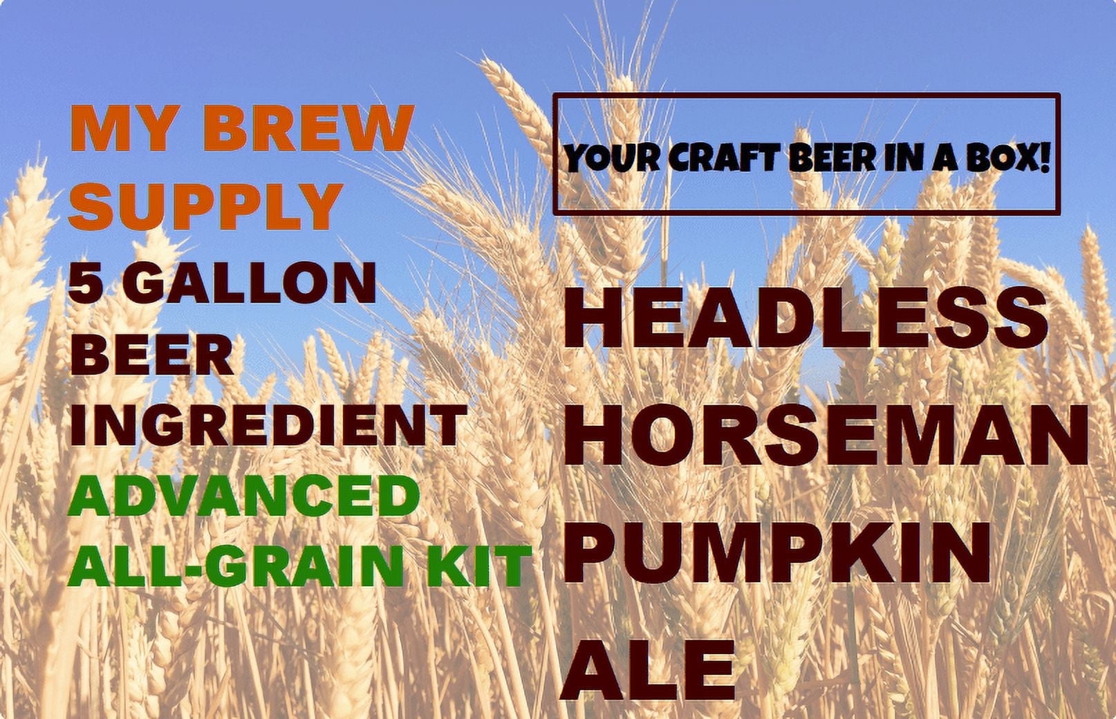 Headless Horseman Pumpkin Ale MBS 5 gal Advanced All Grain Beer ...