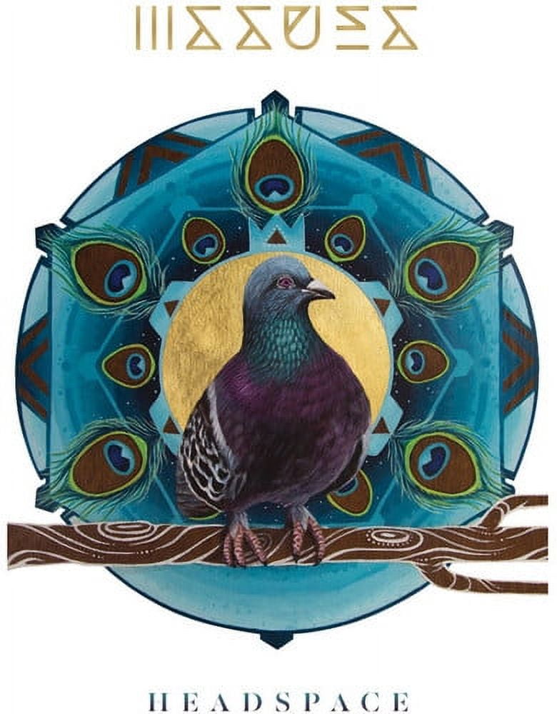 Pre-Owned - Headspace by Issues (CD, 2016) - Walmart.com