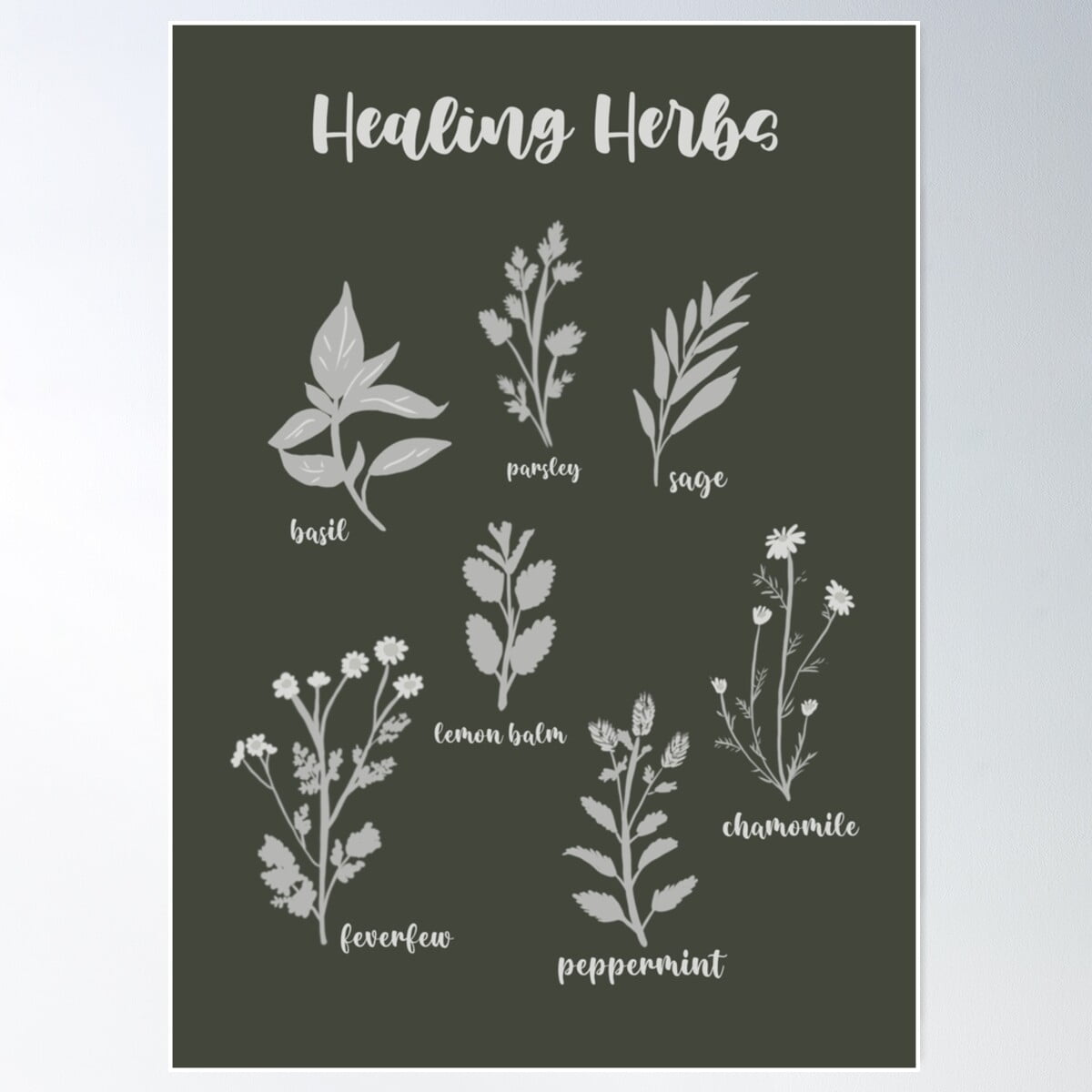 Healing Herbs Poster Wall Art, Modern Wall Decor For Living Room ...