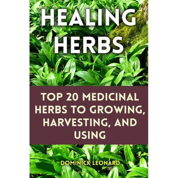 Top 20 Herbs To Grow