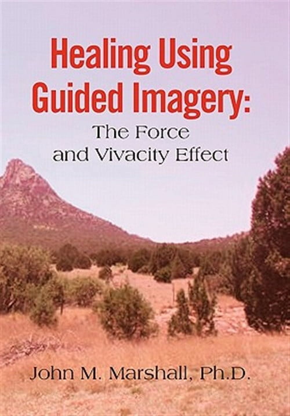 Healing Using Guided Imagery : The Force and Vivacity Effect - Walmart.com