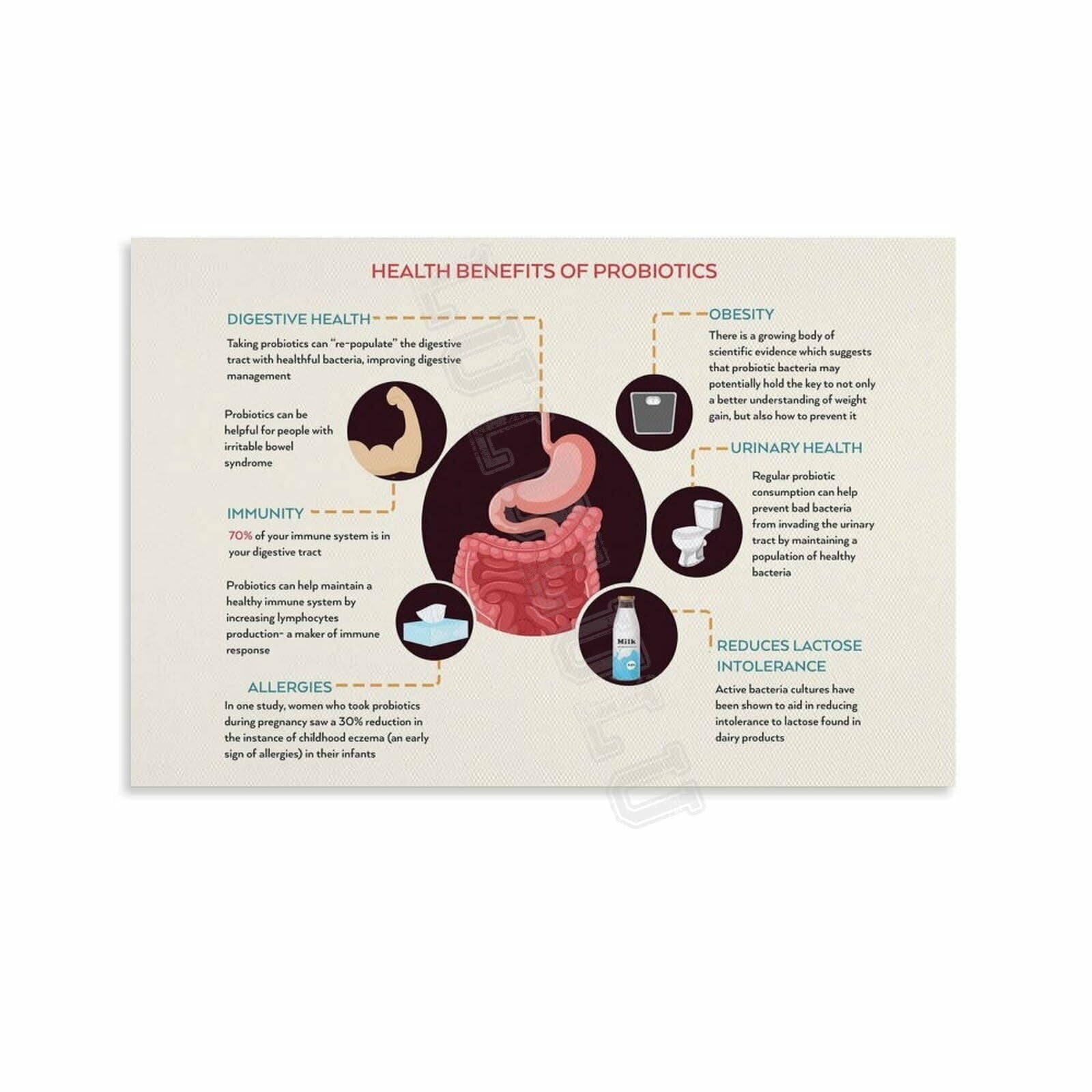 Health Benefits Of Probiotics Poster (1) Canvas Painting Posters And ...
