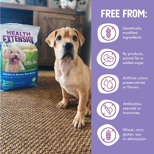 Health Extension Little Bites Dry Dog Food, Natural Food with added ...