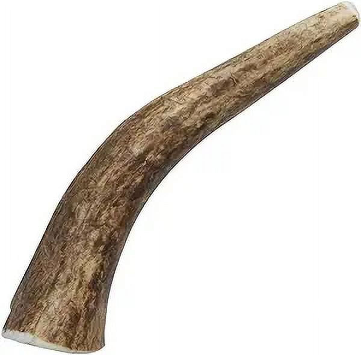 Health Extension Medium Whole Elk Antlers Long-lasting Bone Chew ...