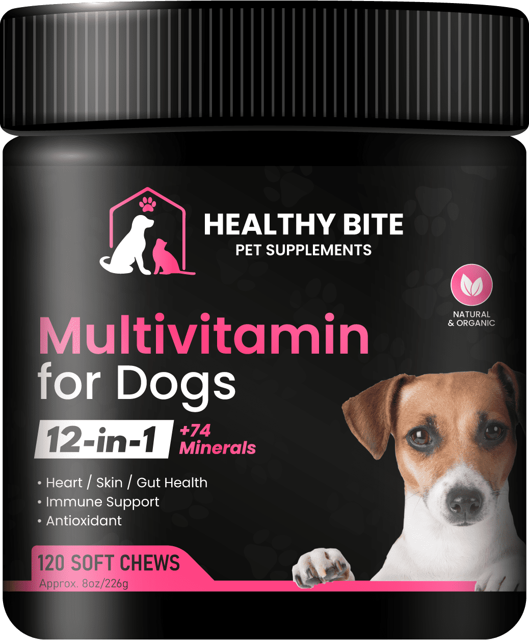Healthy Bite 12 in 1 Multivitamin for Dogs - Supplement for Dogs Skin ...