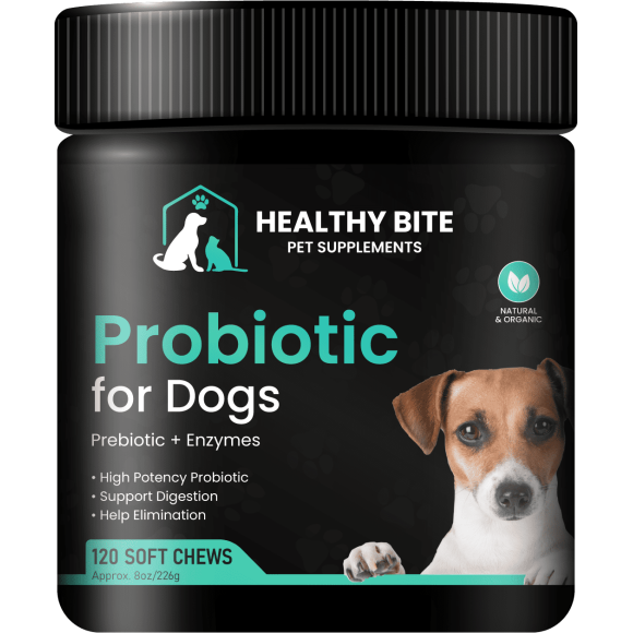Dog Gut Bacteria