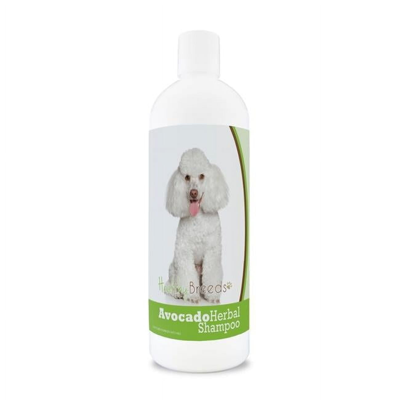 Healthy Breeds 840235156499 Poodle Avocado Herbal Dog Shampoo - Walmart.com