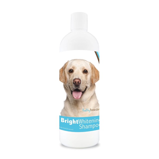 Healthy Breeds Labrador Retriever Bright Whitening Dog Shampoo 12 oz ...