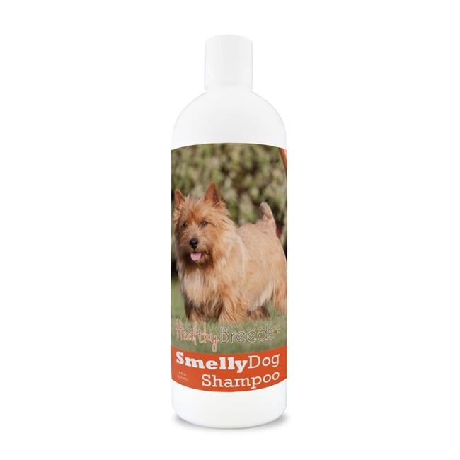 Healthy Breeds 840235160229 Norwich Terrier Smelly Dog Baking Soda ...
