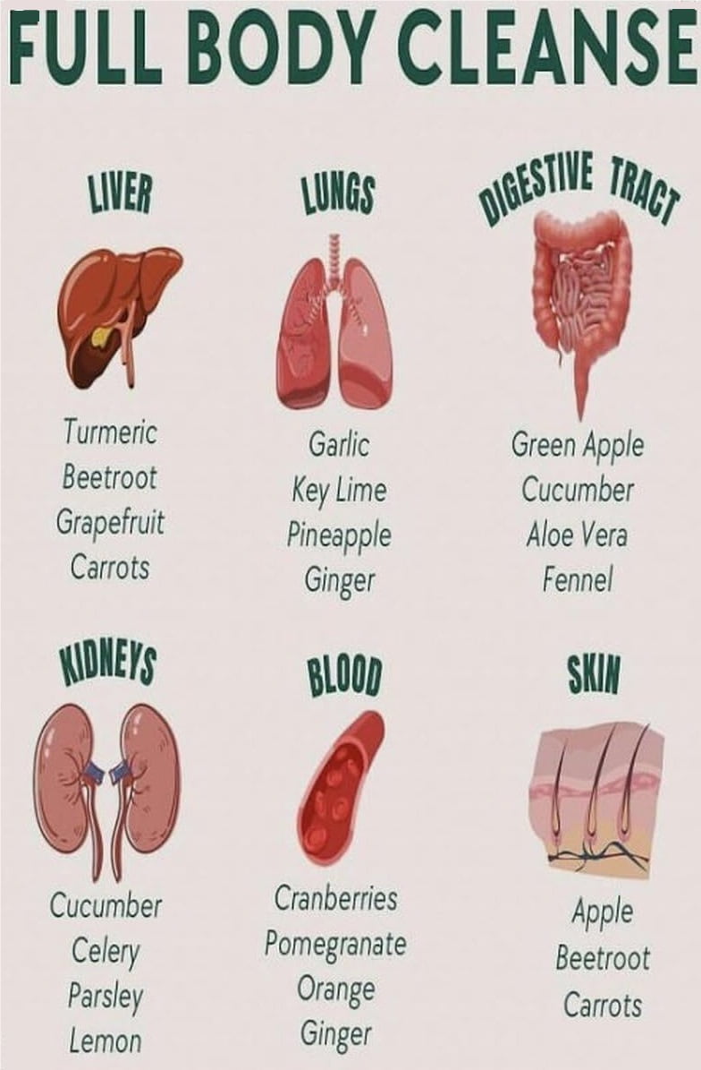 Healthy Eating Guide Foods For Full Body Cleanse Poster Suitable For ...