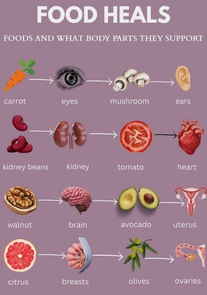 Healthy Eating Guide Foods Heals Poster Suitable For Home Kitchen ...