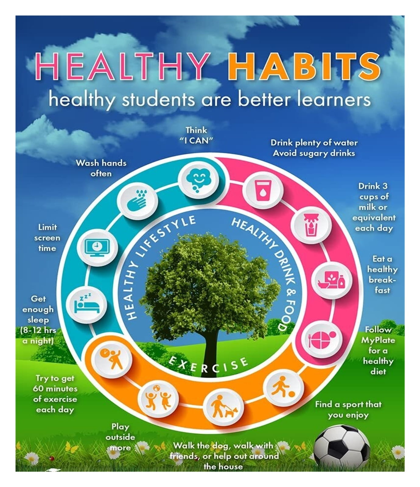 Healthy Habit Wheel Poster - Classroom School Poster - Health Poster ...