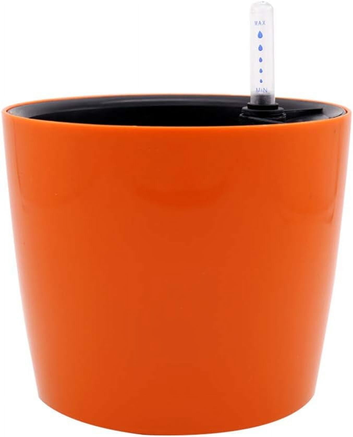 Healthy Plant Growth In Self-Watering Pot, Automatic Watering System ...