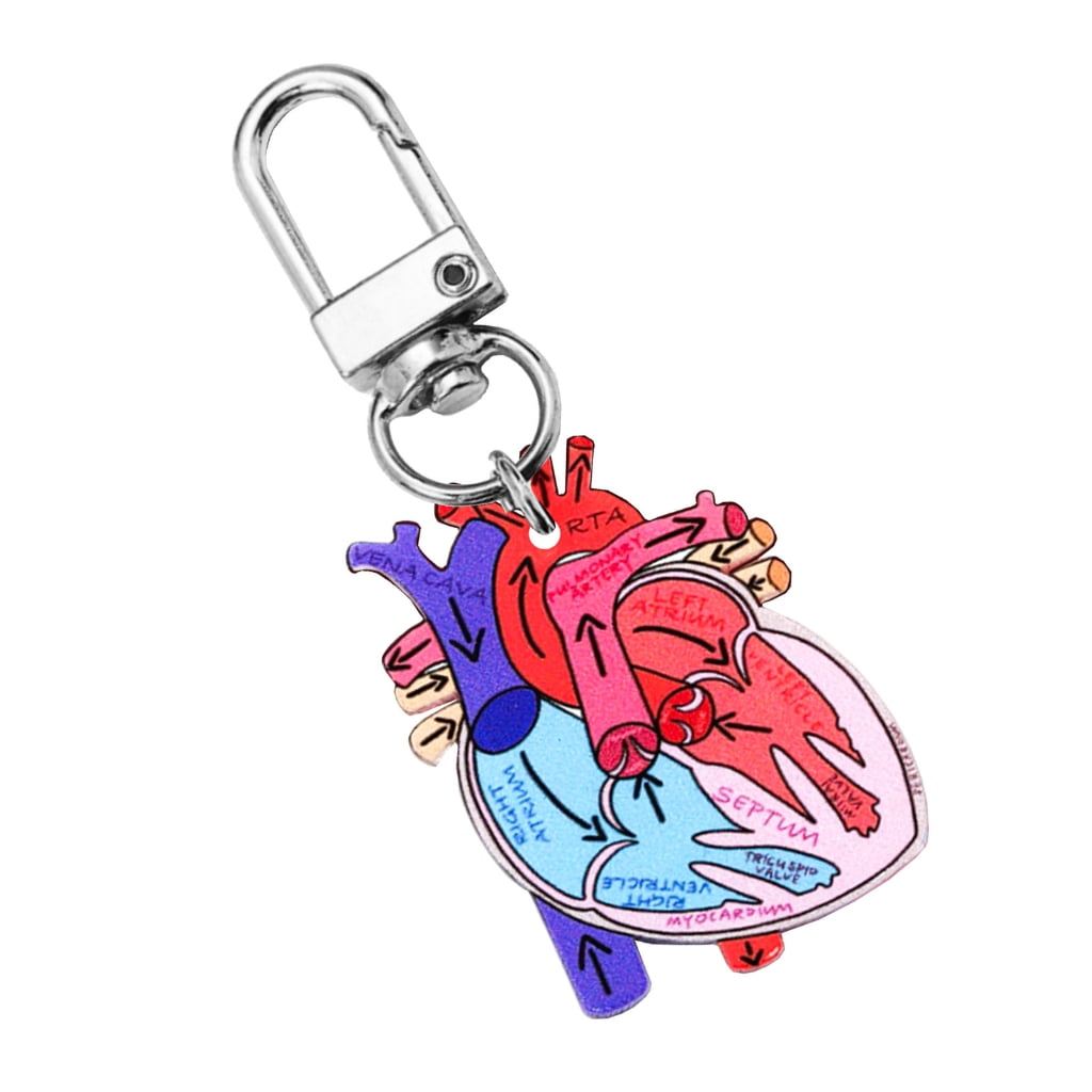 Heart Anatomy Keychain Ornament Educational Heart Keychain Charm ...